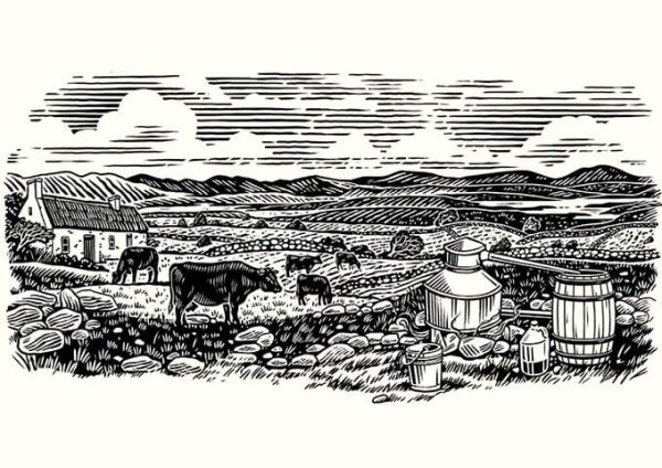 Micil Irish Cream - Micil Distillery